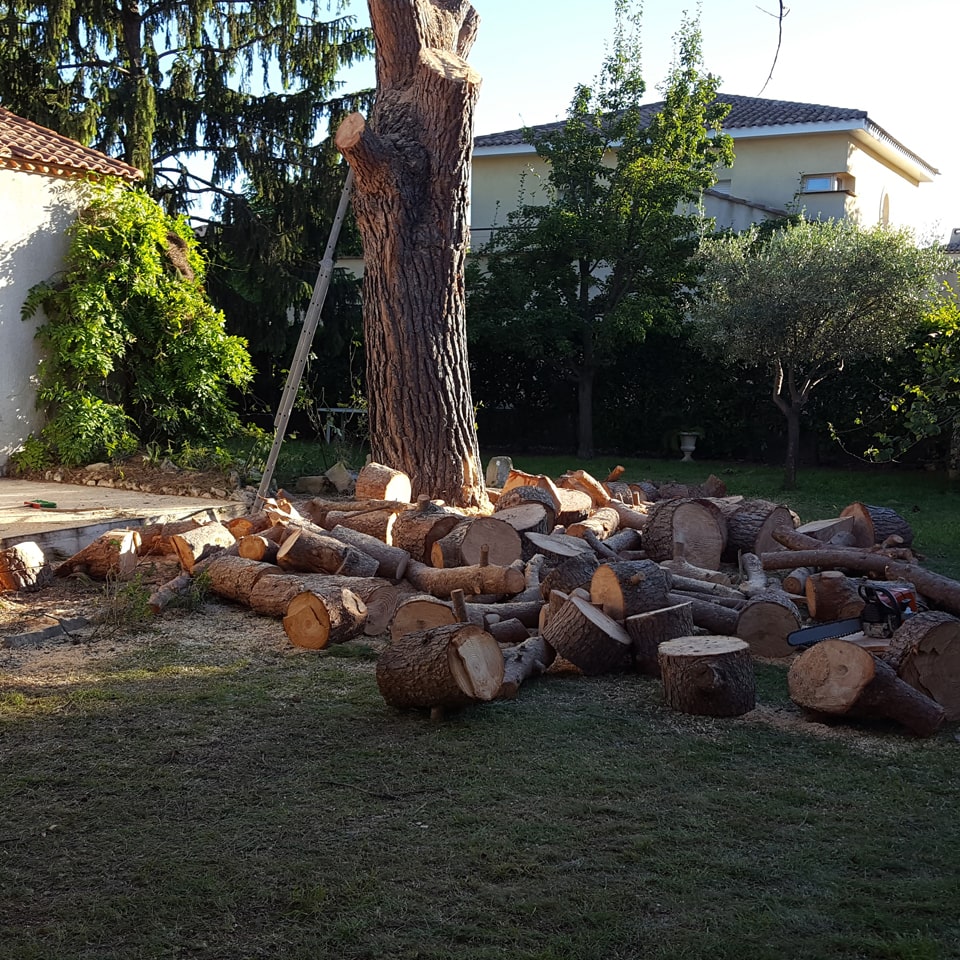 Entreprise entretien des espaces verts à Montpellier | Elagueur du Sud